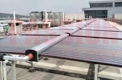 Cina Collettore solare dell'acqua calda di alta efficienza con il tubo a vuoto e la struttura d'acciaio galvanizzata in vendita