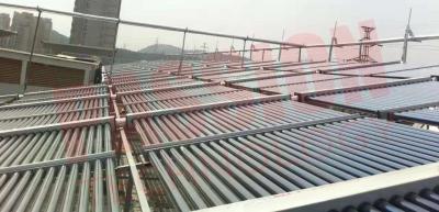 Cina Collettore solare dei tubi a vuoti di circolazione del ciclo aperto per lo scaldabagno solare in vendita
