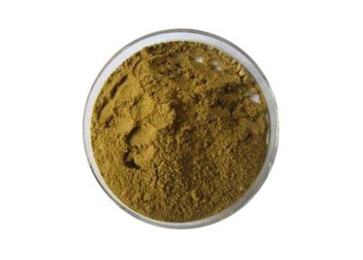 Cina Polvere farmaceutica dell'estratto del ginkgo biloba del grado per la sanità in vendita