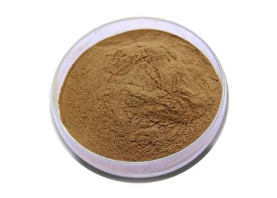 Cina Polvere farmaceutica dell'estratto del ginkgo biloba del grado per la sanità in vendita
