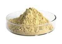 China 10% Ginsenosides Red Ginseng Extract for sale