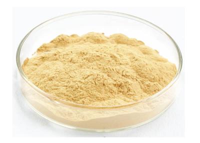 China Gezondheidszorg die Immuun het Uittrekselpoeder verbeteren van de Wortelginseng Te koop