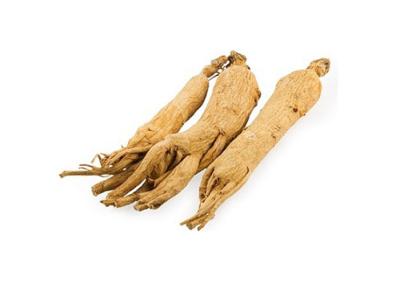 China Gezondheidszorg die Immuun het Uittrekselpoeder verbeteren van de Wortelginseng Te koop