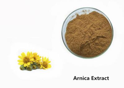 Cina Polvere dell'estratto della pianta dell'arnica in vendita