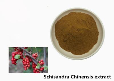 Cina Polvere chinensis dell'estratto della pianta di Hepatoprotective 5,2% Schisandra in vendita