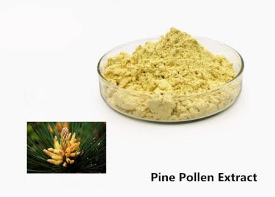 Cina Polvere naturale dell'estratto del polline del pino di sanità 1kg in vendita