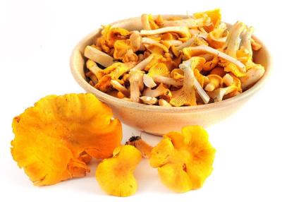 China Pó do extrato do cogumelo de Chantarelle dos polisacáridos de 30% à venda