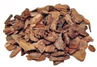 China Proanthocyanidins 95% Pine Bark Extract Powder for sale