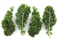 China Juice Kale Extract Powder for sale