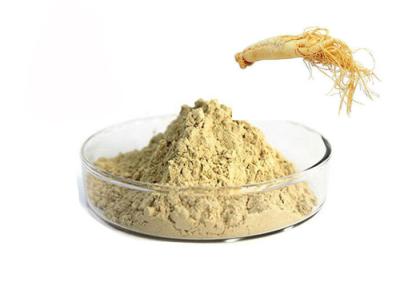 中国 CAS 90045-38-8 80% Ginsenosidesの純粋な草の朝鮮人参の根の粉 販売のため