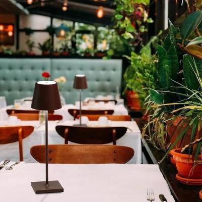 China Multicolor Aluminum Touch Table Lamp Type C Rechargeable Table Lamps for sale