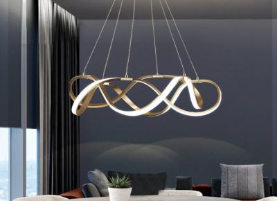 China Acrylic Lampshade Power 33w 50w 69w Iron Gold Modern Ring Light for sale