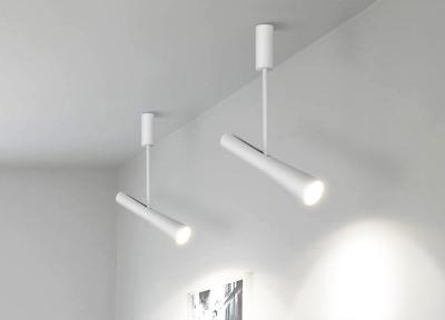 Cina Illuminazione moderna della pista del LED 85V 265V Downlight per il negozio dell'abbigliamento in vendita