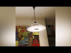 Lichte leiden van de smeedijzer Noordse Tegenhanger voor Huis 160 X H310