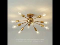 Indoor Decoration Hotel Home Living Room Luxury Metal Led Ceiling Pendant Light
