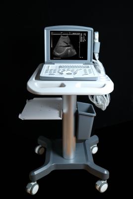 China Portable Full Digital Diagnostic Ultrasound scanner OEM for sale