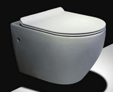 China Wall mounted bathroom back to wall white high quality water closed nice rimless cistern hidden concealed toilet for sale