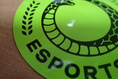 Cina Etichette di trasferimento di calore eleganti personalizzate per abbigliamento in vendita