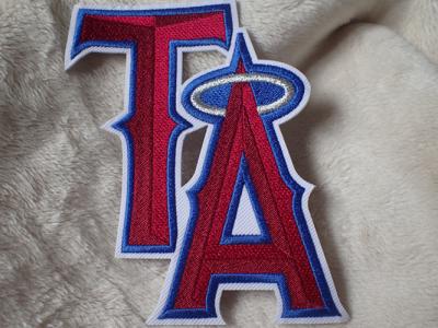 China Soccer Jersey Brand Label Multicolor Embroidered Sports Patches With Hot Melt Adhesive for sale