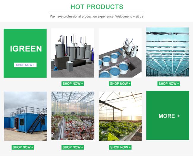 Fish farming tank setup