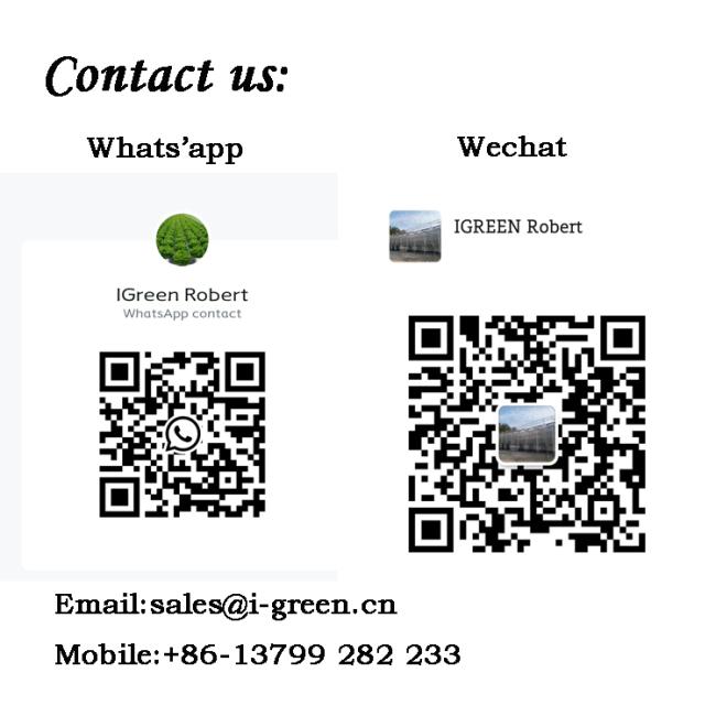 Large scale RAS fish farming