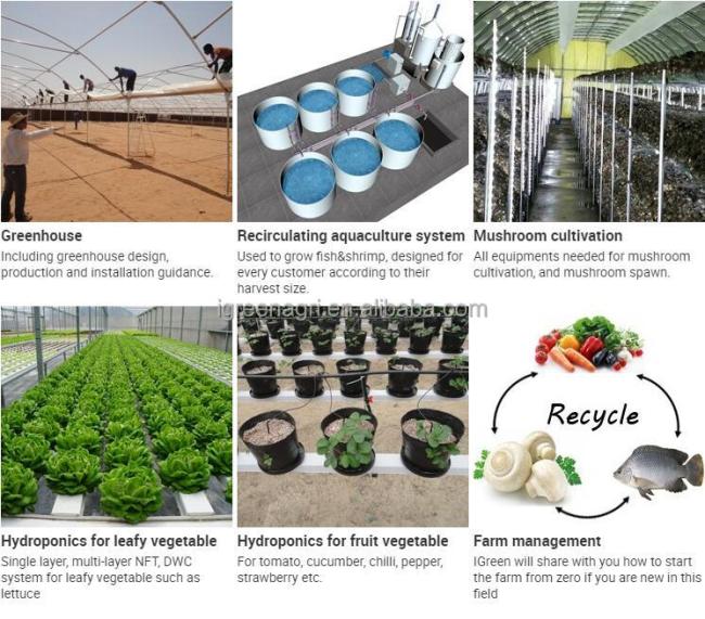 Our greenhouse products showcase