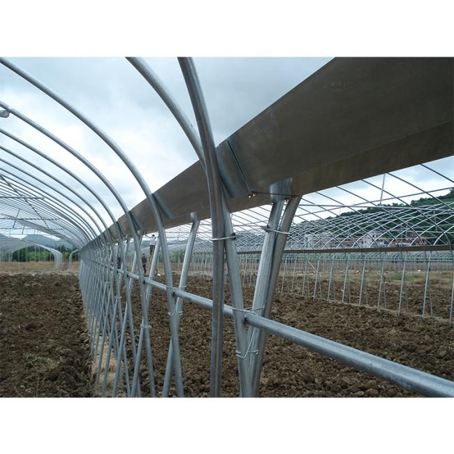 Greenhouse side view showing ventilation structure