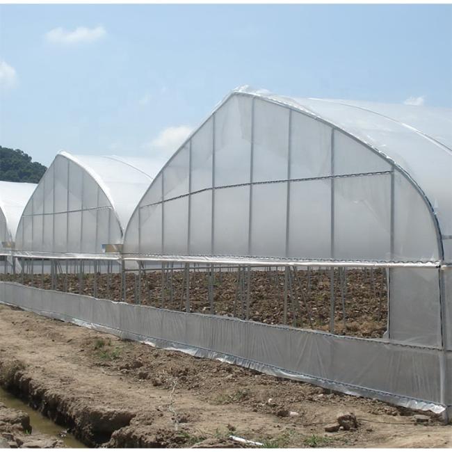 Greenhouse interior space showing tomato farming potential