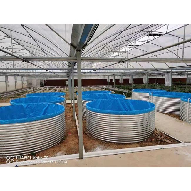 Commercial fish pond structure detail