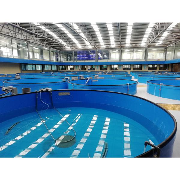 Quality Indoor Recirculating Aquaculture System Galvanized Steel Tank RAS Shrimp Farming for sale