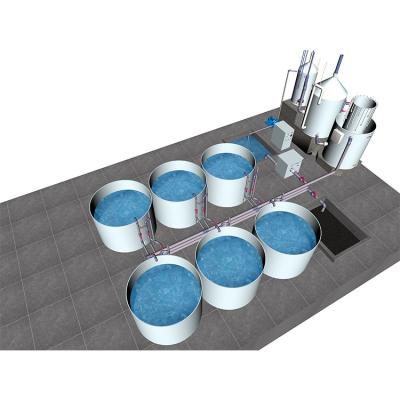 Китай Система рыбоводства в помещении с замкнутым водоснабжением, экологичная, с совместимостью с гидропоникой продается