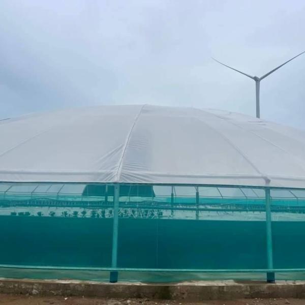 Quality Sturdy PVC Tarpaulin Fish Tank 30 Meters For Large Aquaculture Operations for sale