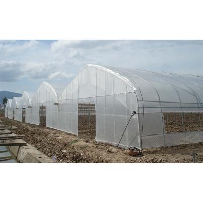 China Personalizar Invernadero Multitramo para Cultivo de Tomates en venta