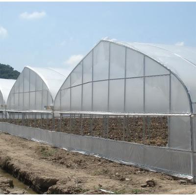 China Customize Multi Span Greenhouse High Tunnel Greenhouse For Tomato Farming for sale