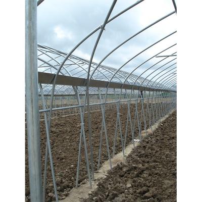 China Customize Multi Span Greenhouse High Tunnel Greenhouse For Tomato Farming for sale