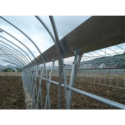 China Customize Multi Span Greenhouse High Tunnel Greenhouse For Tomato Farming for sale