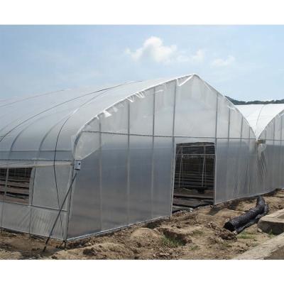 China Customize Multi Span Greenhouse High Tunnel Greenhouse For Tomato Farming for sale