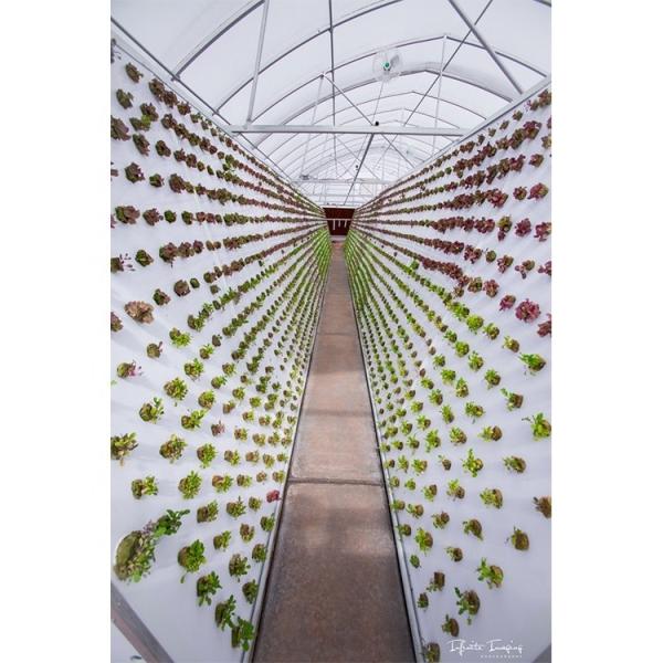 Quality Film Type Vertical Hydroponic Growing System Single Span For 5m Roof Height for sale