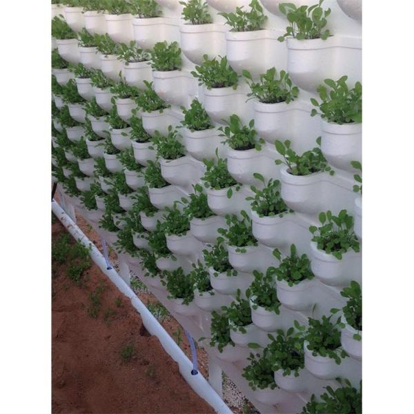 Quality Film Type Vertical Hydroponic Growing System Single Span For 5m Roof Height for sale