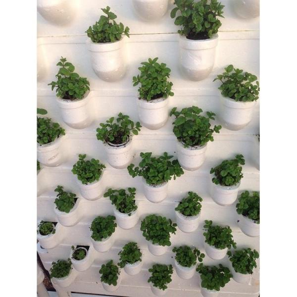 Quality Film Type Vertical Hydroponic Growing System Single Span For 5m Roof Height for sale