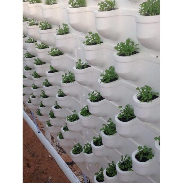 Quality Film Type Vertical Hydroponic Growing System Single Span For 5m Roof Height for sale