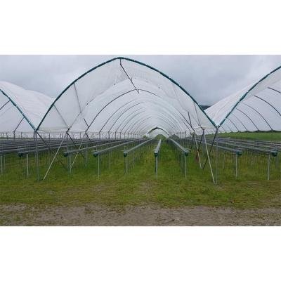 China Film Type Strawberry Hydroponic System Space Saving With High Production for sale