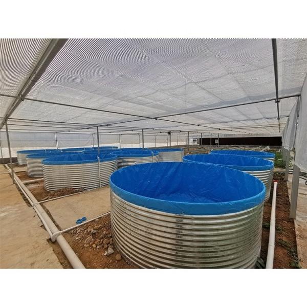 Quality Commercial Recirculating Aquaculture System Customized Ras System Aquaculture for sale