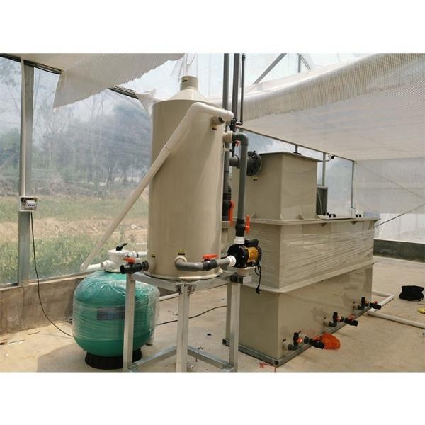 Quality Commercial Recirculating Aquaculture System Customized Ras System Aquaculture for sale