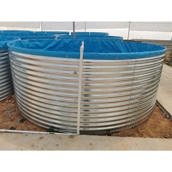 Quality Commercial Recirculating Aquaculture System Customized Ras System Aquaculture for sale