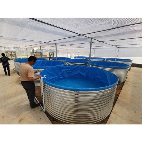 Quality Commercial Recirculating Aquaculture System Customized Ras System Aquaculture for sale