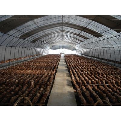 China Film Type Agricultural Equipment 10m Tunnel Width Insect Net Greenhouse for sale