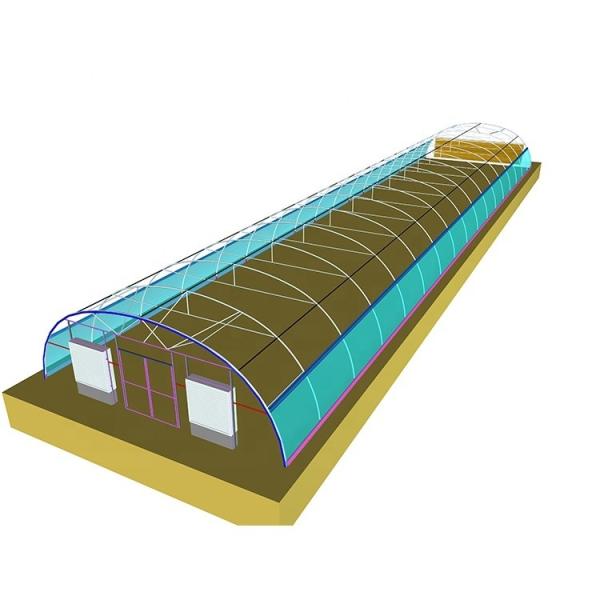 Quality 200 Micron Plastic Sheeting Greenhouse Customizable For Gulf Countries for sale