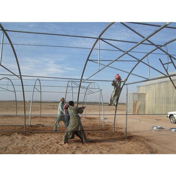Quality 200 Micron Plastic Sheeting Greenhouse Customizable For Gulf Countries for sale
