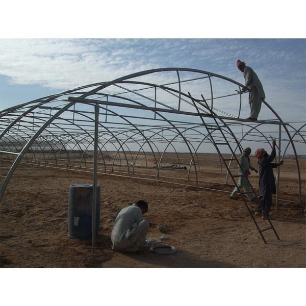 Quality 200 Micron Plastic Sheeting Greenhouse Customizable For Gulf Countries for sale